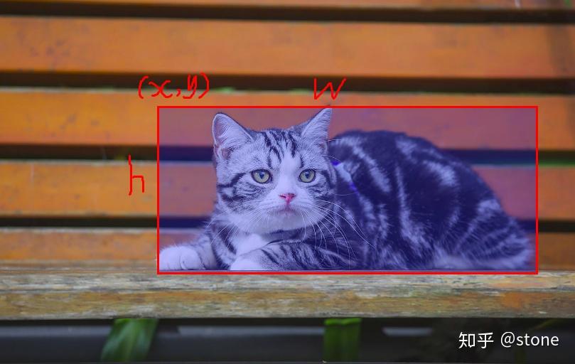 你真的读懂yolo了吗？ - 知乎