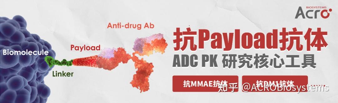 DXD、SN38——ADC小分子中的“后浪” - 知乎