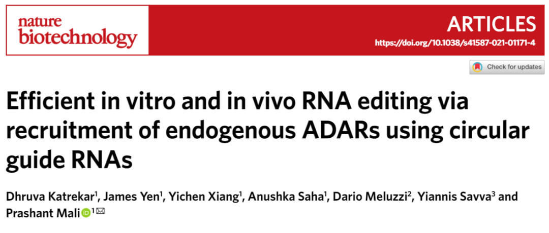 Nat Biotech | 环状向导RNA募集内源性ADAR进行高效RNA编辑 - 知乎