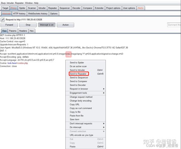 【XCTF】WEB入门新手练习靶场全部通关教程 - 知乎