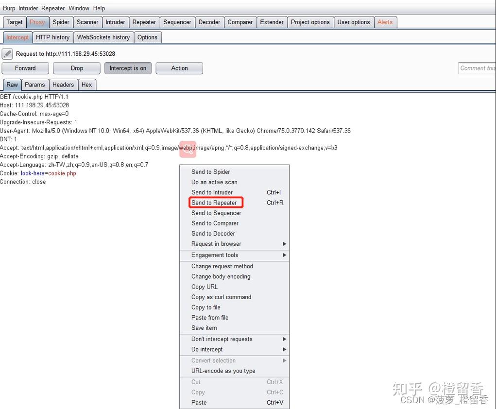 【XCTF】WEB入门新手练习靶场全部通关教程 - 知乎