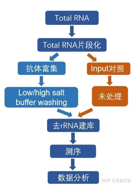 技术贴 | RNA甲基化修饰m6A的检测——MeRIP-seq - 知乎