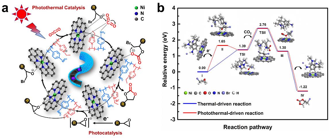河北工业大学张旭教授课题组JMCA：竹节状Ni-N-C@聚离子液体用于协同光热驱动CO2环加成 - 知乎