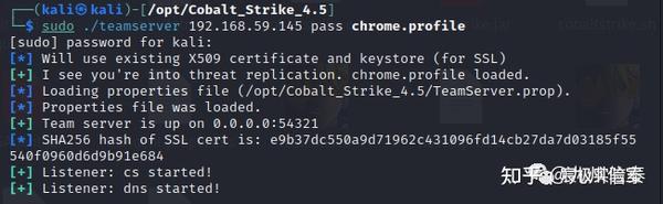 宸极实验室——『红蓝对抗』Malleable-C2-Profile文件分析 - 知乎