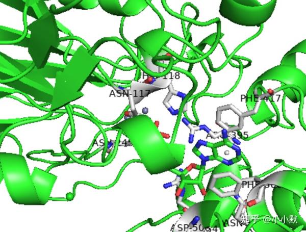 Pymol绘图教程（自用） - 知乎