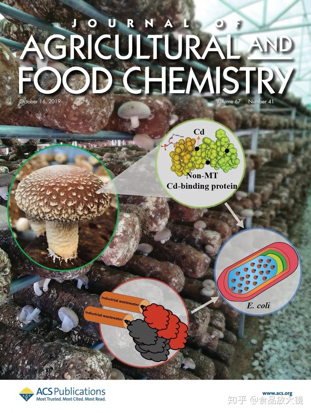 JAFC封面阐述香菇镉结合蛋白用于镉生物吸附 - 知乎