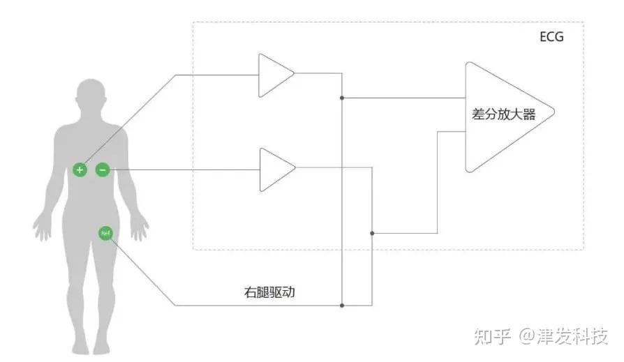 【津发科技】ErgoLAB-HRV来源-PPG与ECG的测量 - 知乎