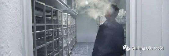 STIRLING SU780XLE助力Scisafe生物样本库“卓越中心”推进最佳超低温实践-上海玮驰仪器有限公司