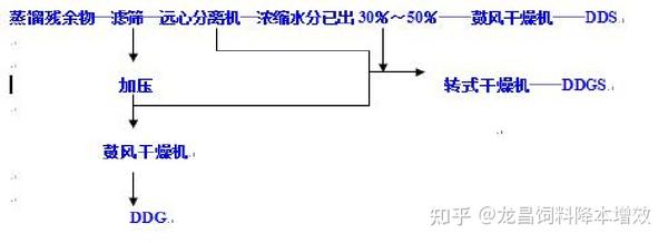 浅谈玉米DDGS质量控制问题！ - 知乎