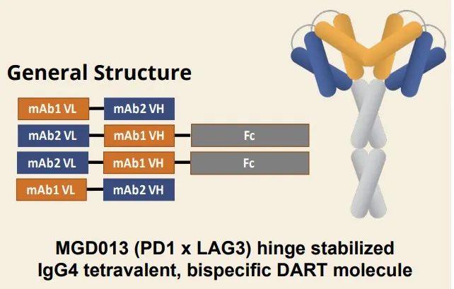 原因不明，再鼎医药终止PD-1/LAG-3双抗所有临床试验 - 知乎