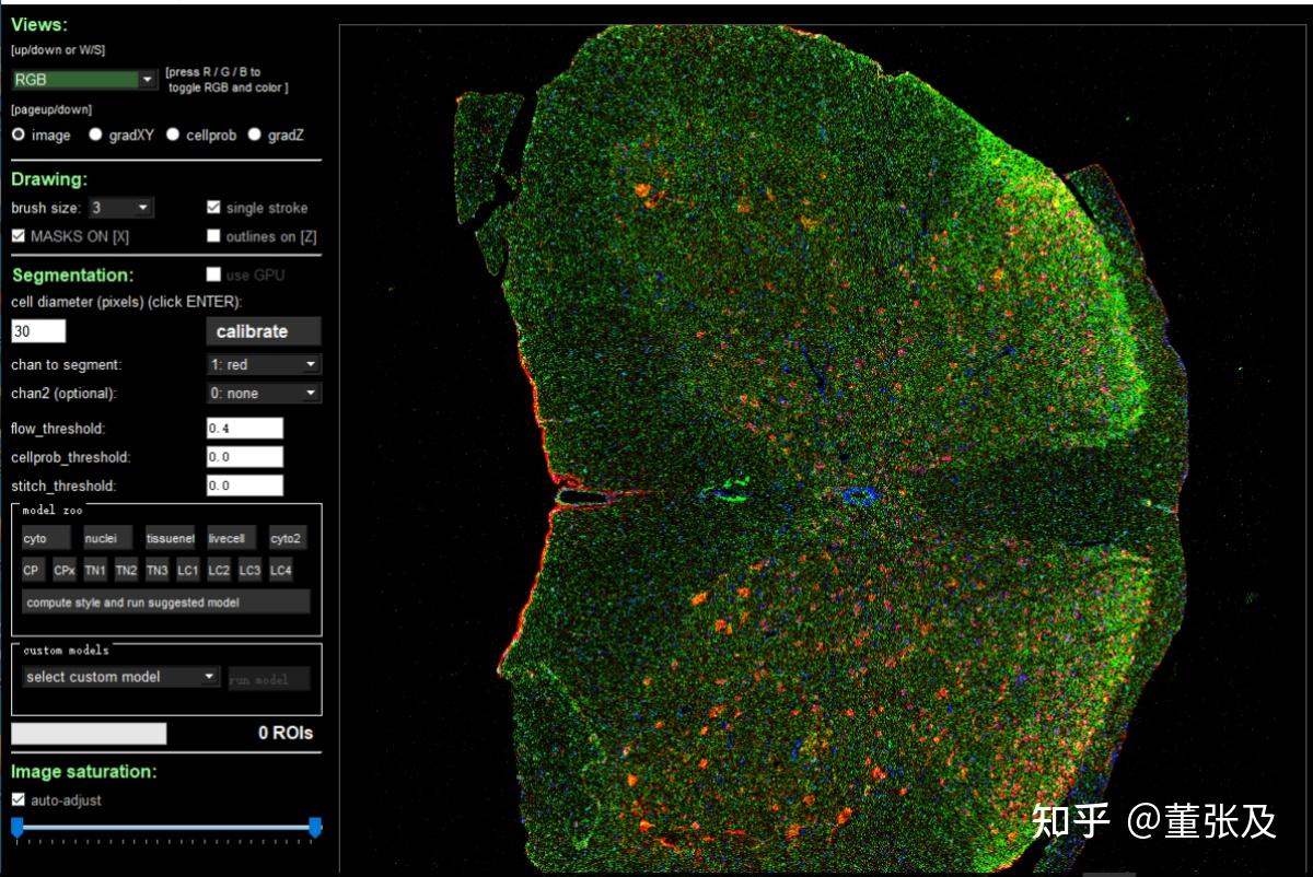 使用Cellpose和ImageJ分析多标细胞荧光强度 - 知乎
