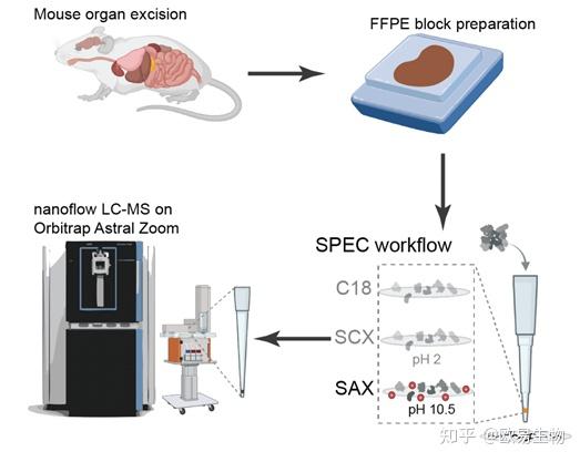 Matthias Mann教授36万次引用：让质谱仪看见细胞每个蛋白质故事 - 知乎