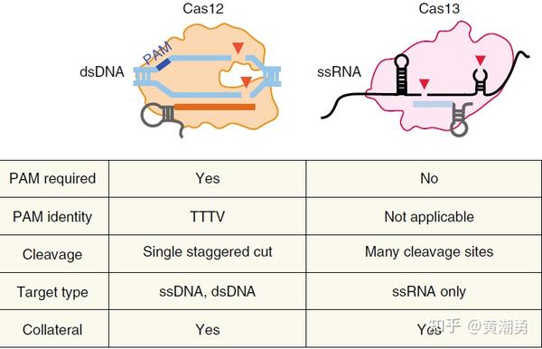 开启上帝视角，带你看看“SHERLOCK病毒神探”如何快速“破案” - 知乎
