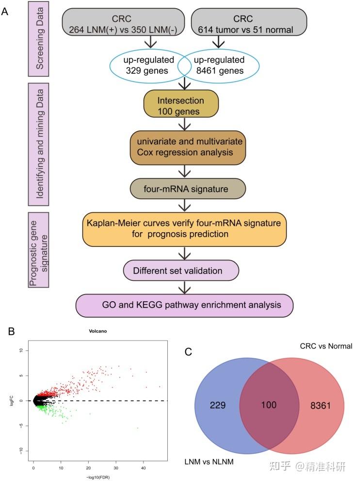 与淋巴结转移的结直肠癌预后相关的四个mRNA组合标记 - 知乎