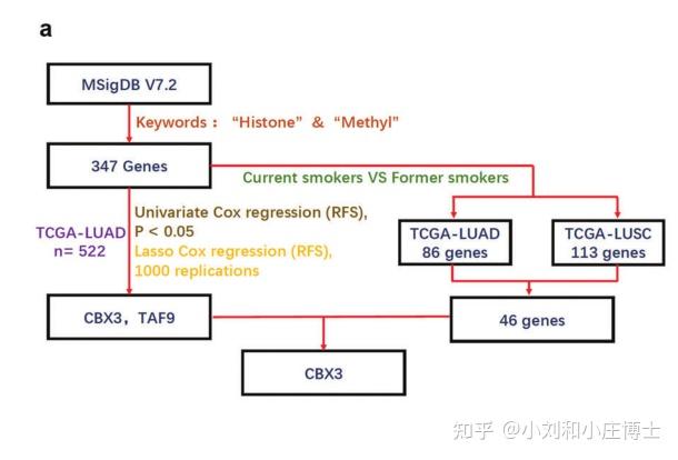 生信+实验文献精读II：MSigDB数据库 - 知乎