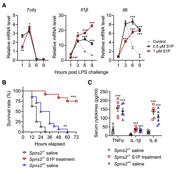 EMBO Reports丨增强巨噬细胞中的 Spns2/S1P 可减轻脓毒症中的过度炎症并防止免疫抑制 - 知乎
