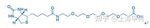 Biotin-linker：化学生物学中的独特应用 - 知乎