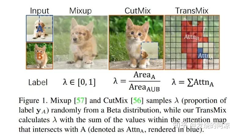 TransMix: Attend to Mix for Vision Transformers - 知乎