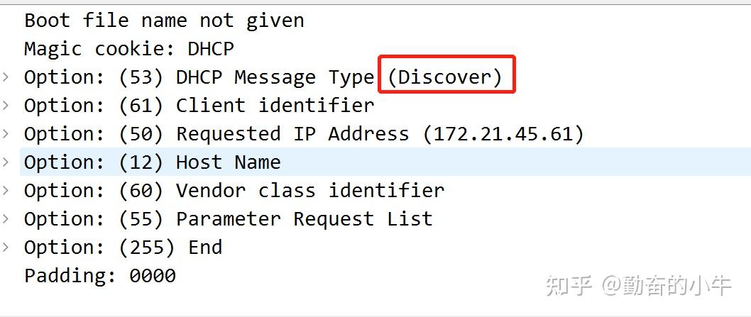 一文读懂DHCP协议 && DHCPv6协议 - 知乎