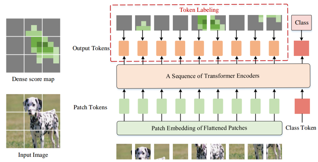 Vision Transformer必读系列之图像分类综述：概述 - 知乎