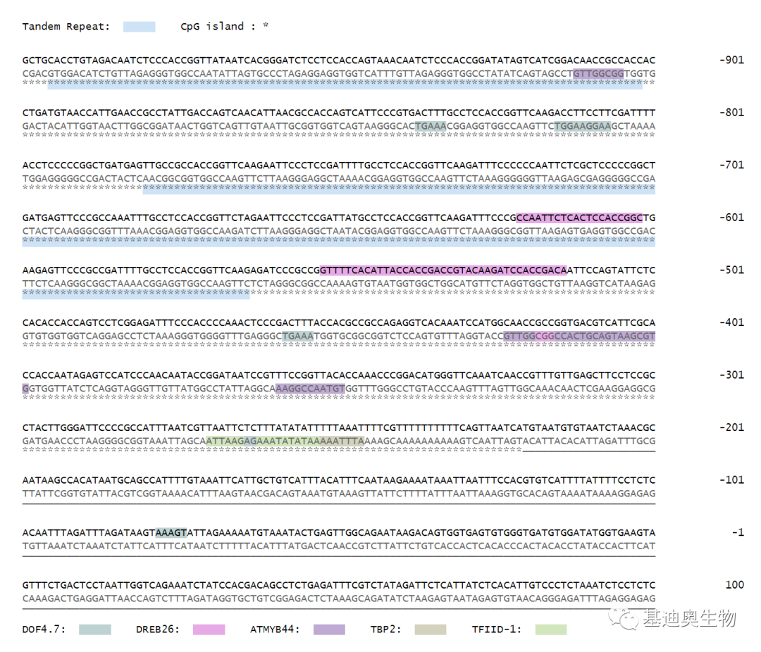 使用PlantPAN 3.0进行启动子和转录因子分析 - 知乎