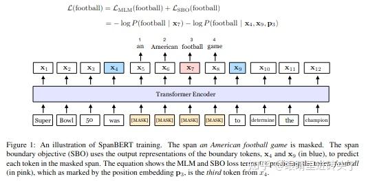 预训练模型：从MacBERT、SpanBERT看MLM任务 - 知乎