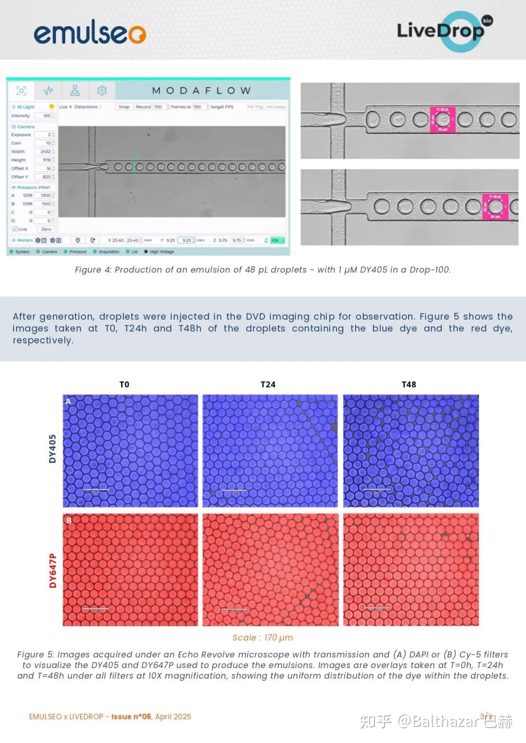 应用案例——Emulseo FluoSurf表面活性剂与Fluo-Oil 135氟油液滴稳定性实验 - 知乎