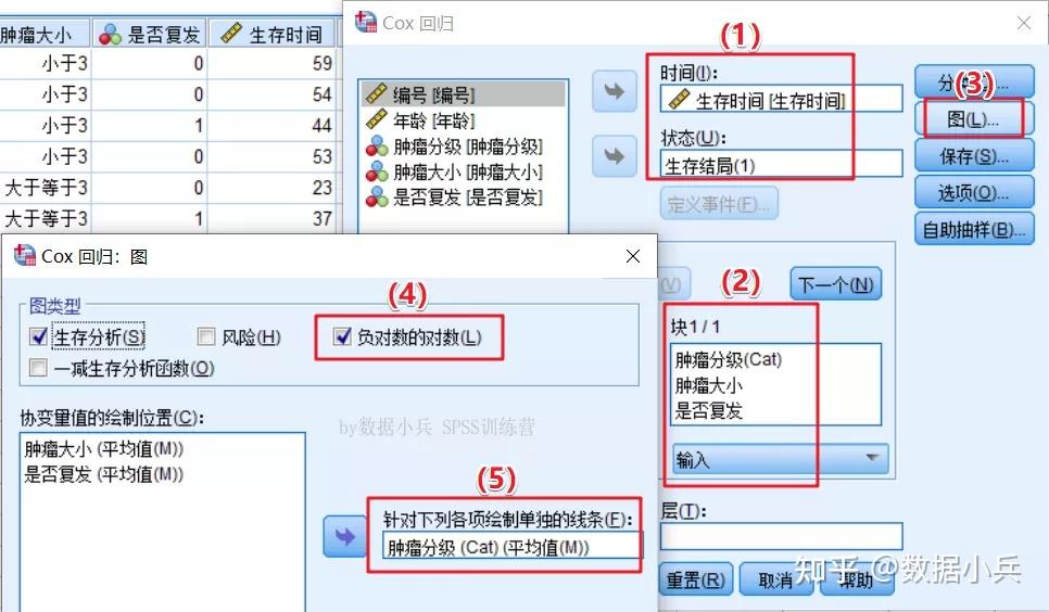 SPSS做Cox回归分析PH等比例风险假定如何判断？ - 知乎