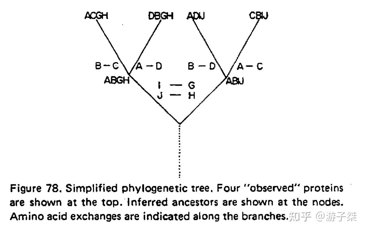 如何得到PAM打分矩阵——PAM打分矩阵原理与Dayhoff模型【生物信息学】 - 知乎