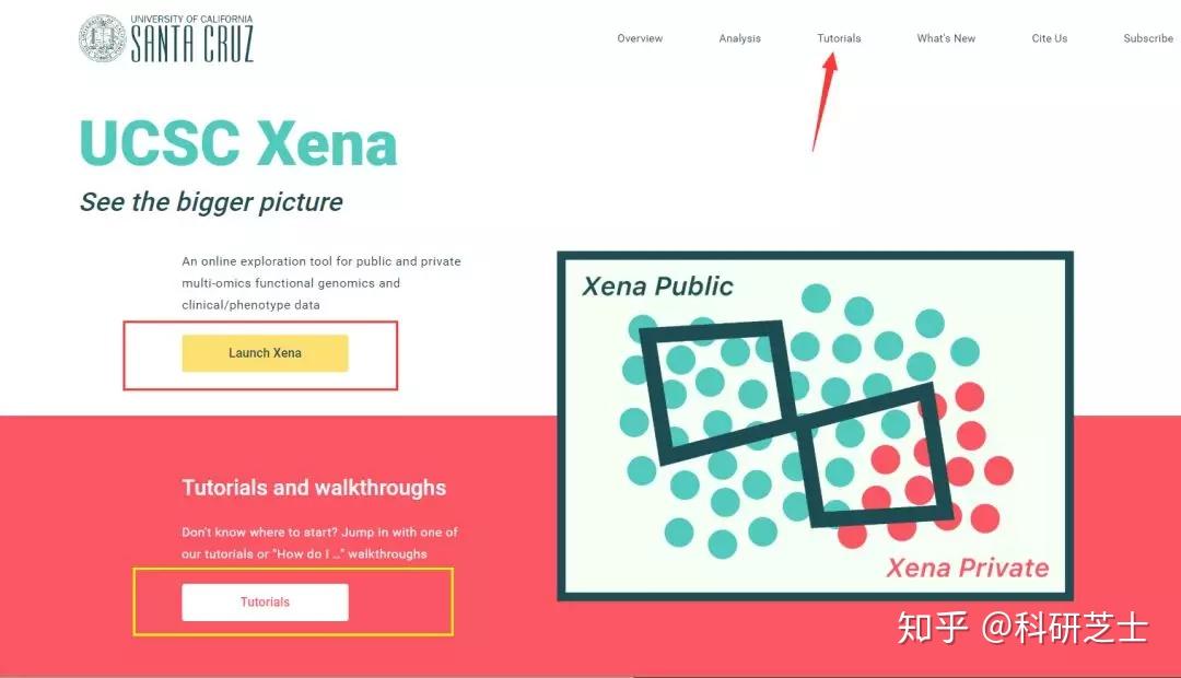 手把手教你用R语言下载TCGA数据：UCSCXenaTools - 知乎