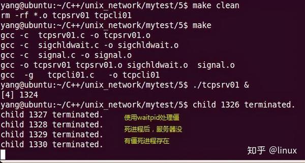 linux下wait/waitpid处理僵死进程详解(SIGCHLD信号) - 知乎