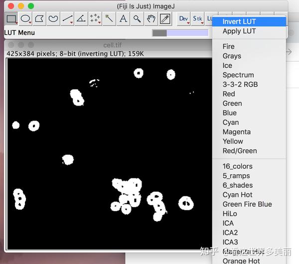 使用FIJI IMAGEJ 做细胞Segmentation及组学特征提取 - 知乎