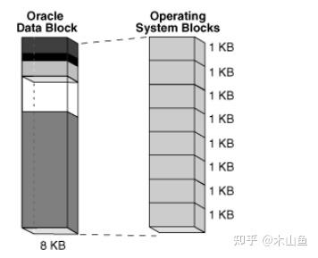 一篇文章带你了解Oracle底层物理与逻辑存储 - 知乎