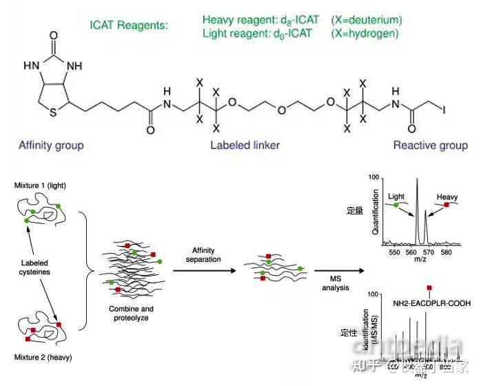 液质联用中的数据采集和分析 - 知乎