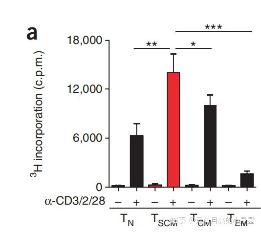 具有干性的人类记忆T细胞 - 知乎