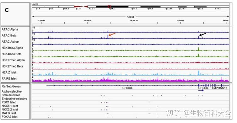 ATAC-seq联合RNA-seq思路分享 - 知乎