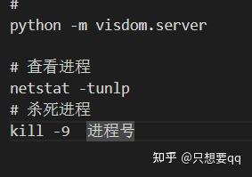 visdom服务启动时提示Downloading scripts, this may take a little while解决办法，以及visdom打不开窗口等问题。 - 知乎