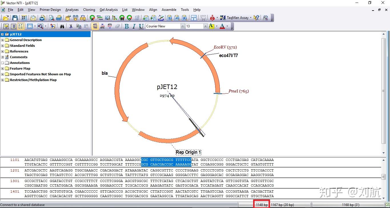 不会设计引物，你敢说你会做PCR？ - 知乎