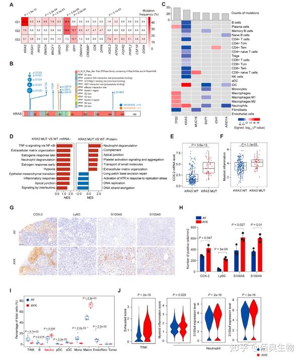 利用多组学数据结合亚型鉴定轻松发12分+SCI - 知乎