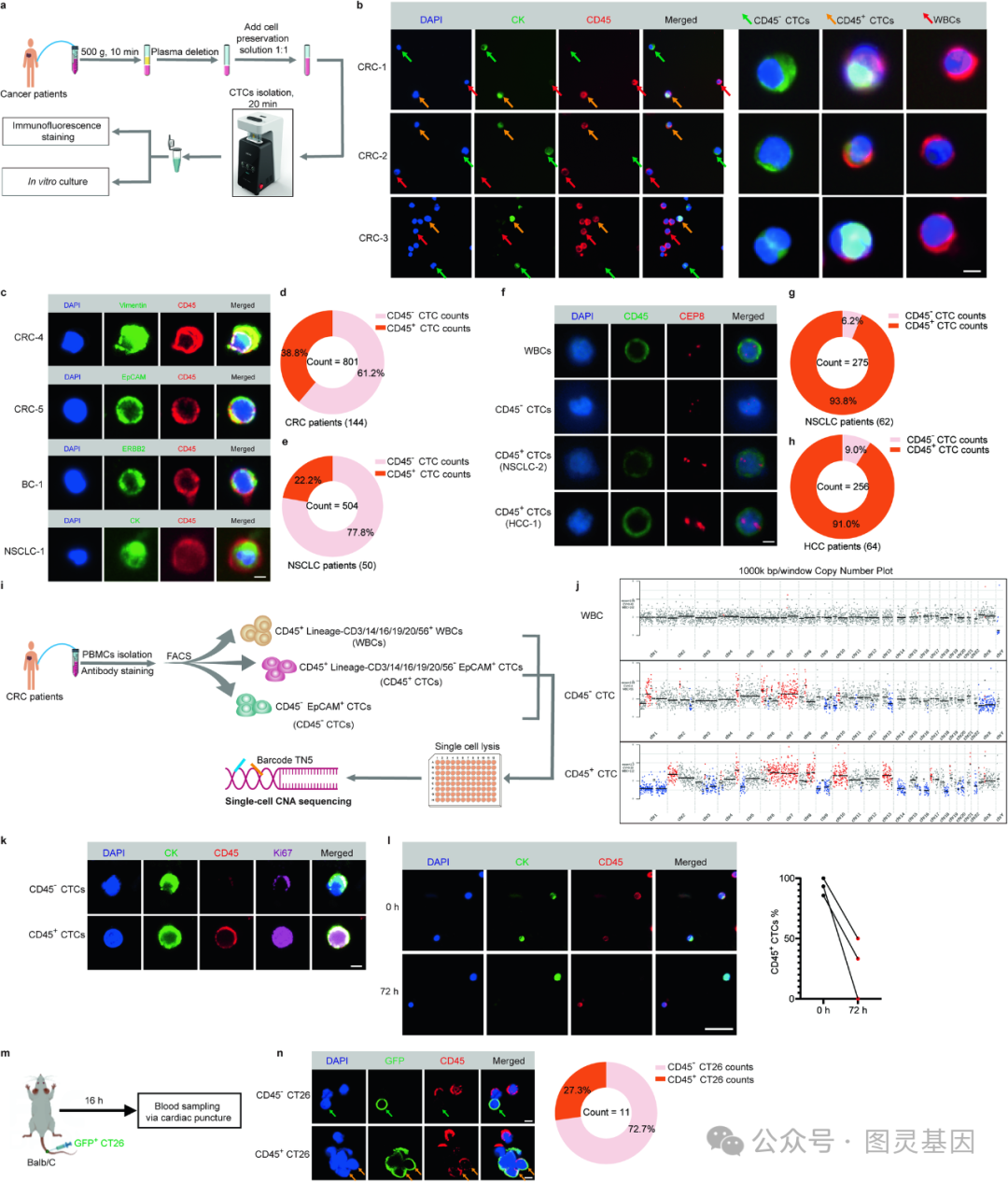 STTT | 中山大学团队发现循环肿瘤细胞逃避 T 细胞攻击实现转移新机制 - 知乎