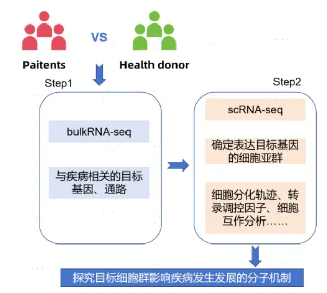 scRNA-seq携手bulk RNA-seq：性价比与科研价值的双重保障 - 知乎