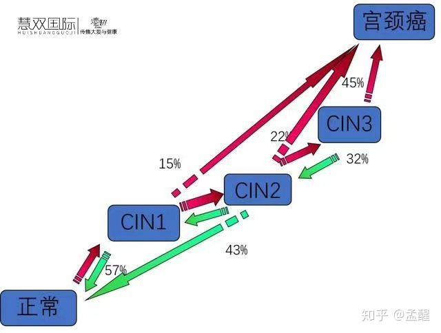 从cin到宫颈癌,总共分几步?真的只有一步之遥吗? 知乎
