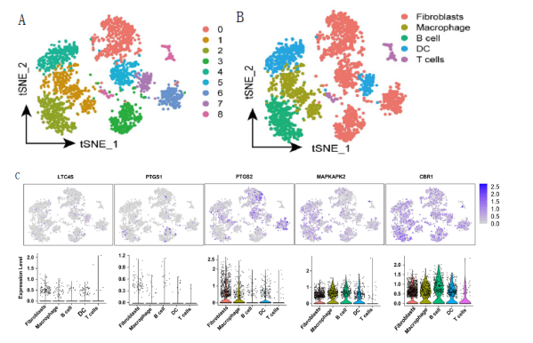 6分+纯生信！bulk RNA-seq和单细胞联合分析，外加代谢新切入点“花生四烯酸代谢”！助力发文的巧妙思路，值得借鉴~ - 知乎