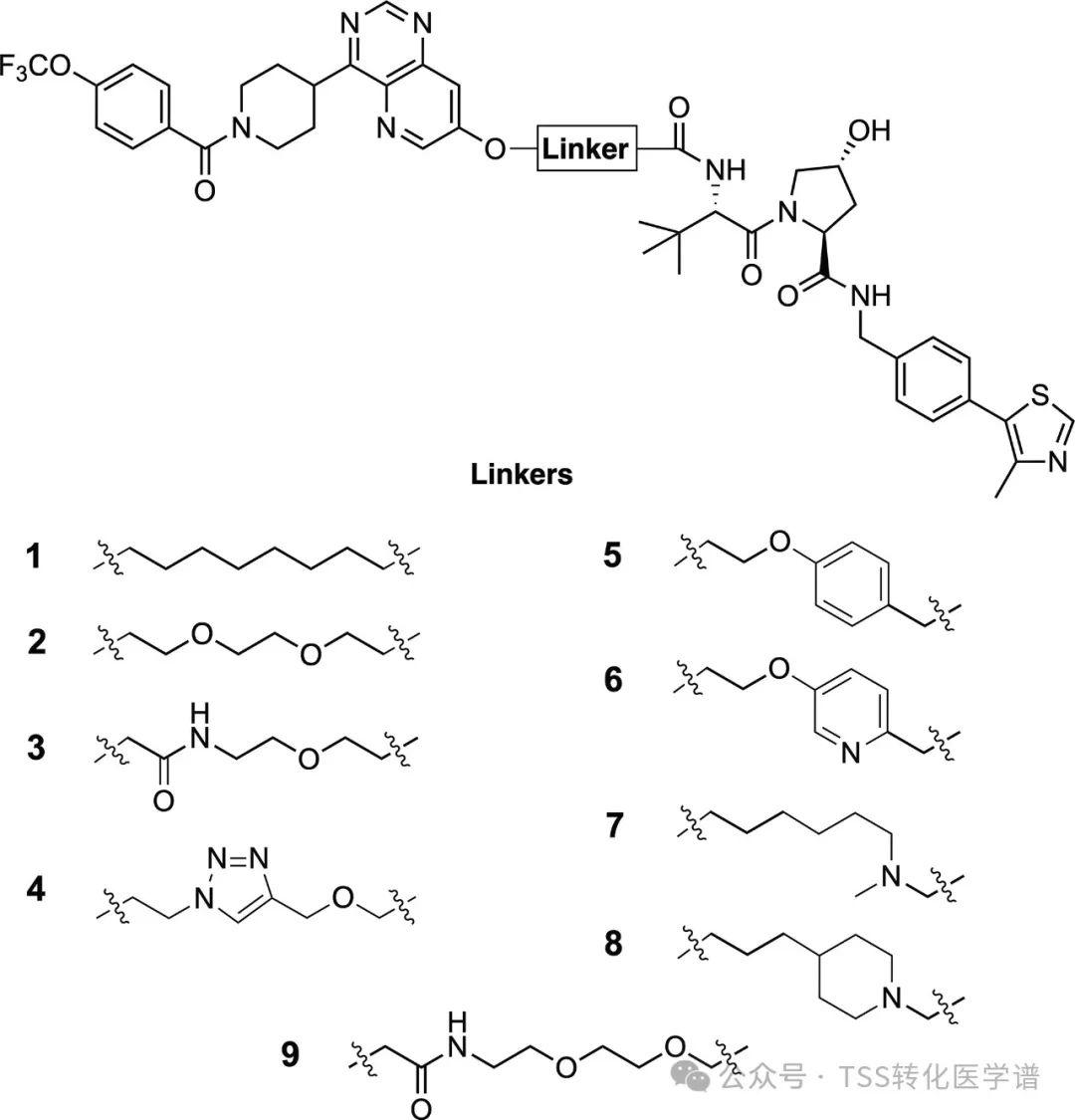 【JMC】 VHL-PROTAC 连接子对细胞通透性的构效探究 - 知乎