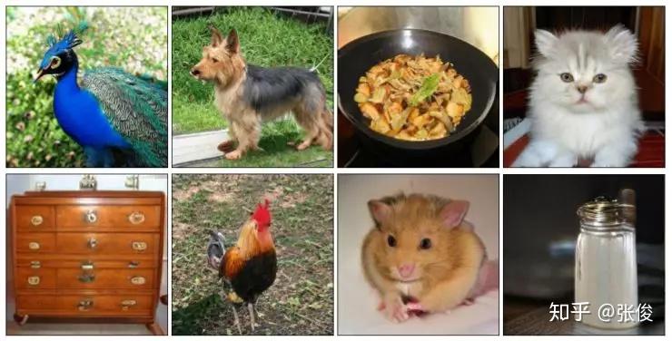 深度解读DeepMind新作：史上最强GAN图像生成器—BigGAN - 知乎