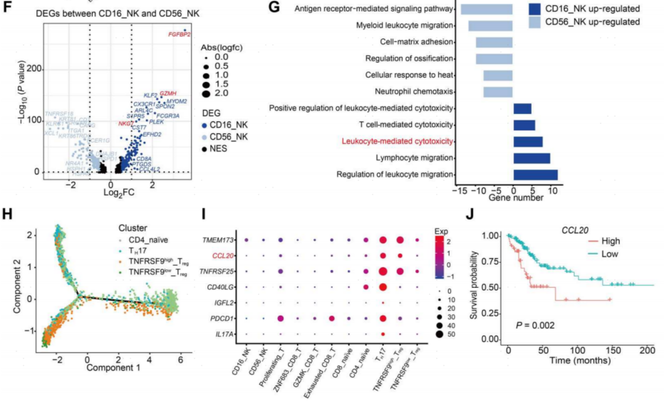 单细胞技术揭示宫颈鳞状细胞癌的发生发展 - 知乎