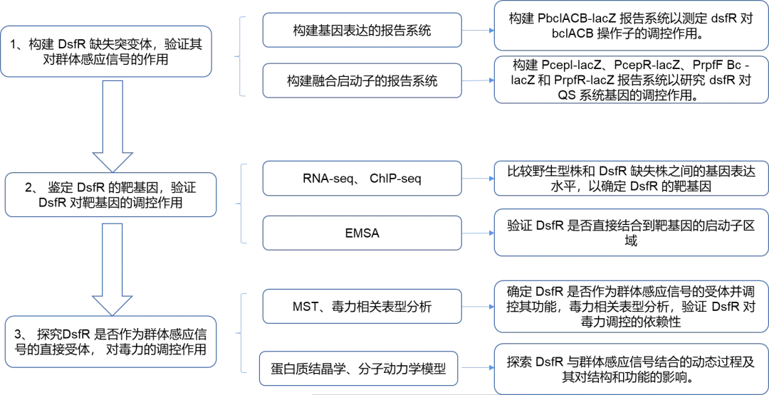 项目文章 | Cell Reports&ChIP-seq和RNA-seq联合鉴定伯克霍尔德氏菌毒性的重要调节因子 - 知乎