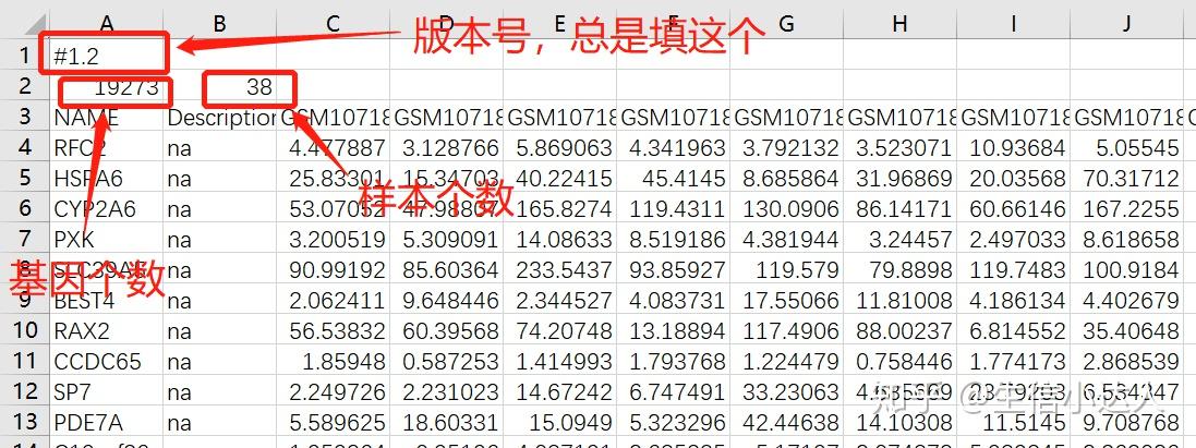 GSEA安装使用教程 - 知乎