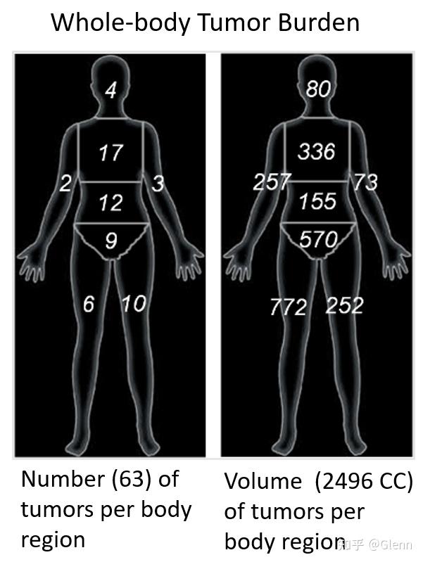 [医学图像竞赛] 推荐 | MICCAI'23 挑战赛速览 - 知乎