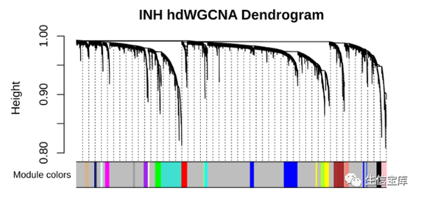 SCS【28】单细胞转录组加权基因共表达网络分析(hdWGCNA) - 知乎